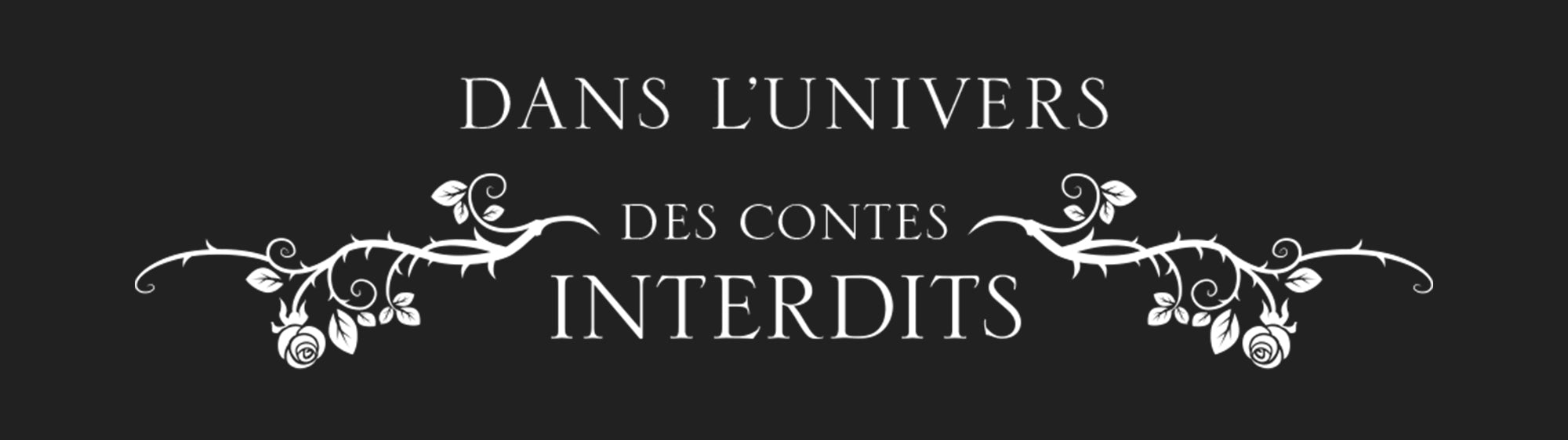 Livres - Dans l'univers des Contes Interdits – La Boutique ADA